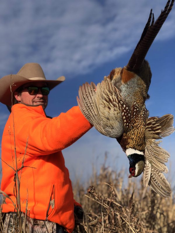 Top Pheasant Hunts in Texas Panhandle | Tule Creek Outfitters